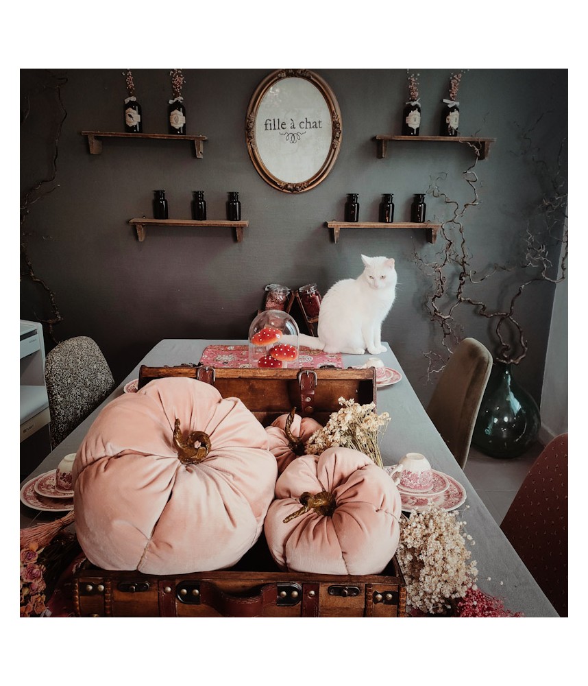 Moyenne citrouille en velours - rose